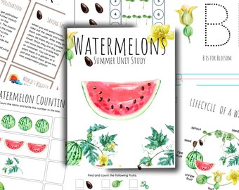 Sea Turtle Unit Study Homeschool Printable Nature Life Cycle Science ...