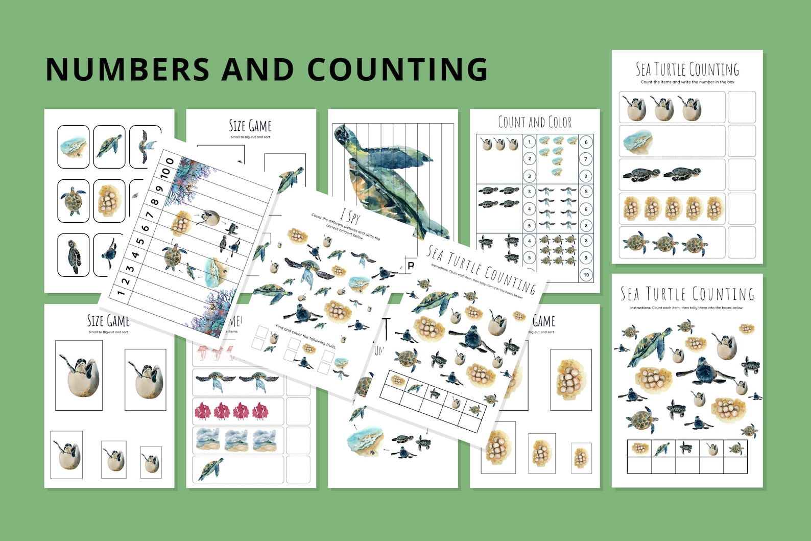 Sea Turtle Unit Study Homeschool Printable Nature Life Cycle Science ...