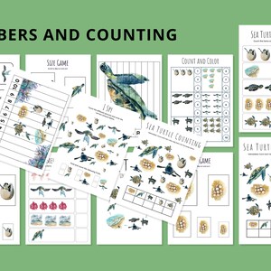 Sea Turtle Unit Study Homeschool Printable Nature Life Cycle Science ...