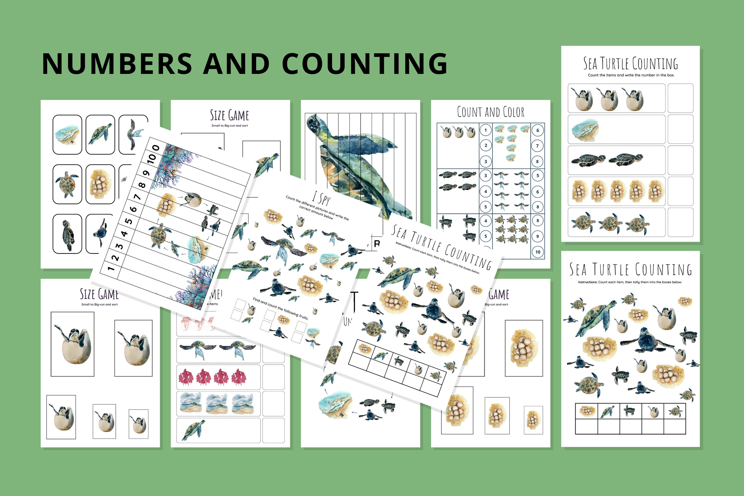 Sea Turtle Unit Study Homeschool Printable Nature Life Cycle Science ...