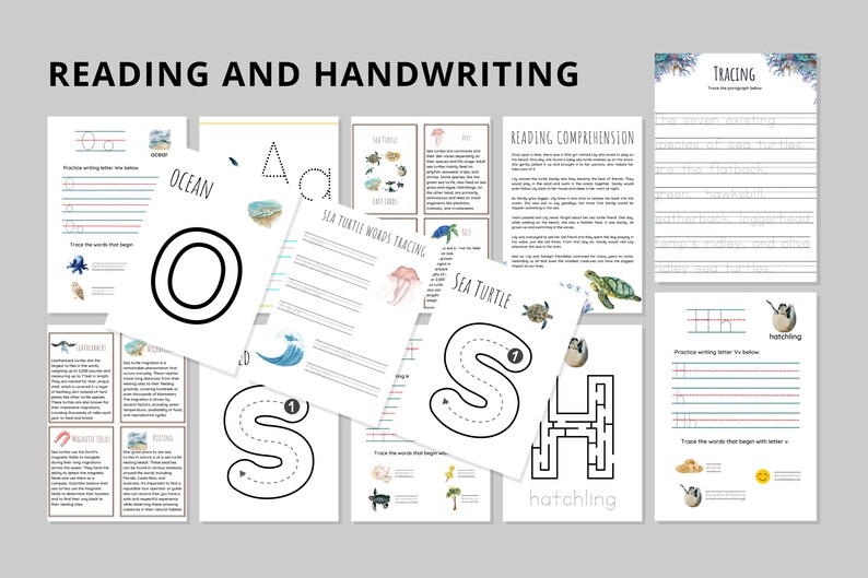 Sea Turtle Unit Study Homeschool Printable Nature Life Cycle Science ...