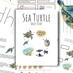 Sea Turtle Unit Study Homeschool Printable Nature Life Cycle Science ...