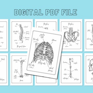 Human Anatomy Coloring Pages, Skeletal Coloring Book, Printable Anatomy ...