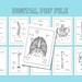 Human Anatomy Coloring Pages, Skeletal Coloring Book, Printable Anatomy ...
