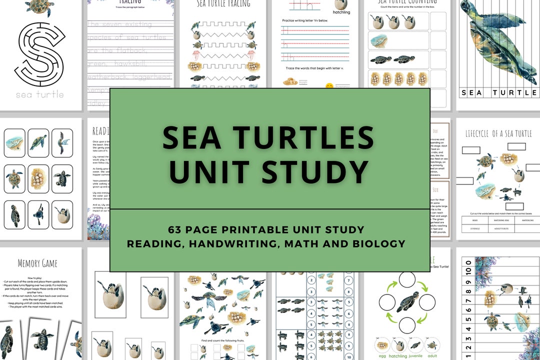 Sea Turtle Unit Study Homeschool Printable Nature Life Cycle Science ...