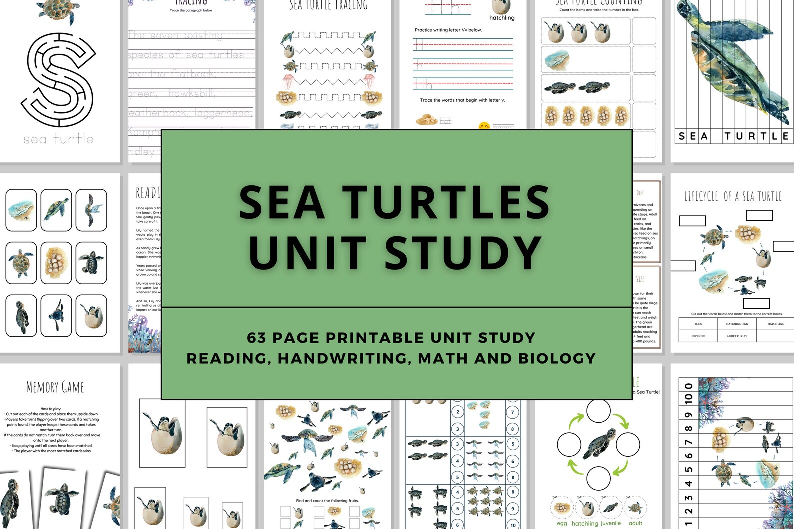 Sea Turtle Unit Study Homeschool Printable Nature Life Cycle Science ...