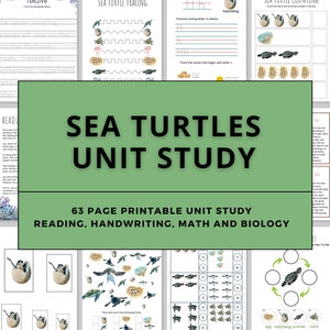 Sea Turtle Unit Study Homeschool Printable Nature Life Cycle Science ...