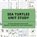Sea Turtle Unit Study Homeschool Printable Nature Life Cycle Science ...
