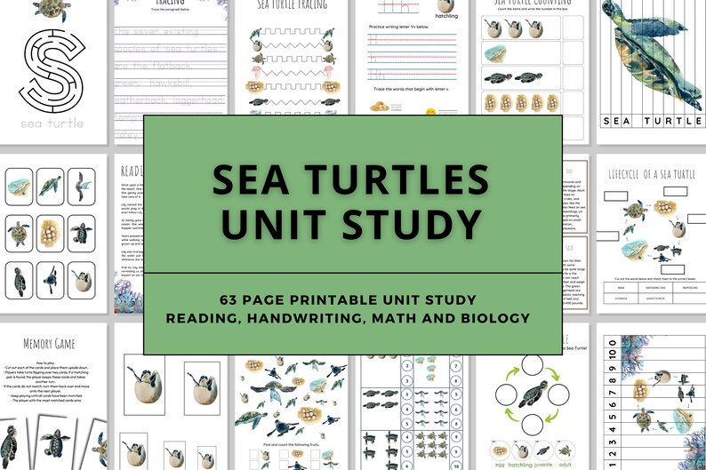 Sea Turtle Unit Study Homeschool Printable Nature Life Cycle Science ...