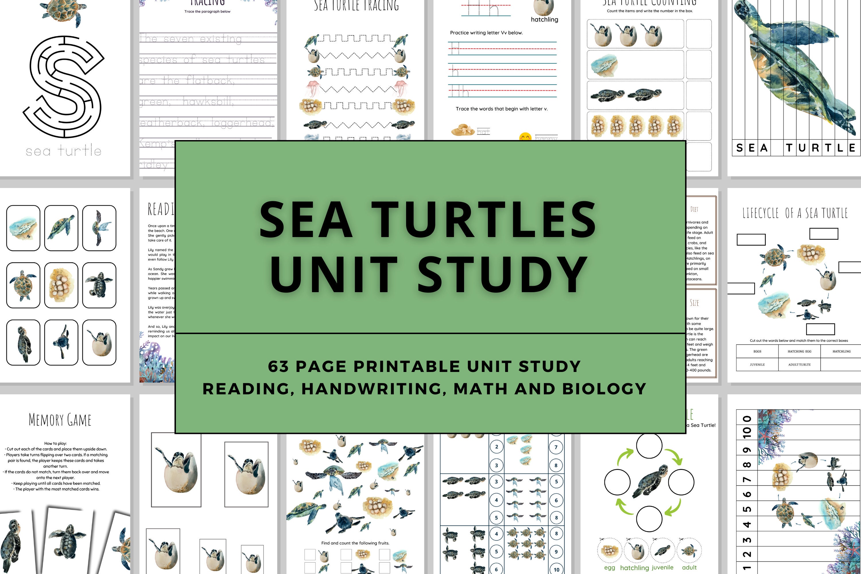 Sea Turtle Unit Study Homeschool Printable Nature Life Cycle Science ...