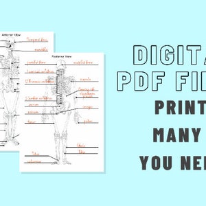 Human Anatomy Coloring Pages Skeletal Coloring Book - Etsy