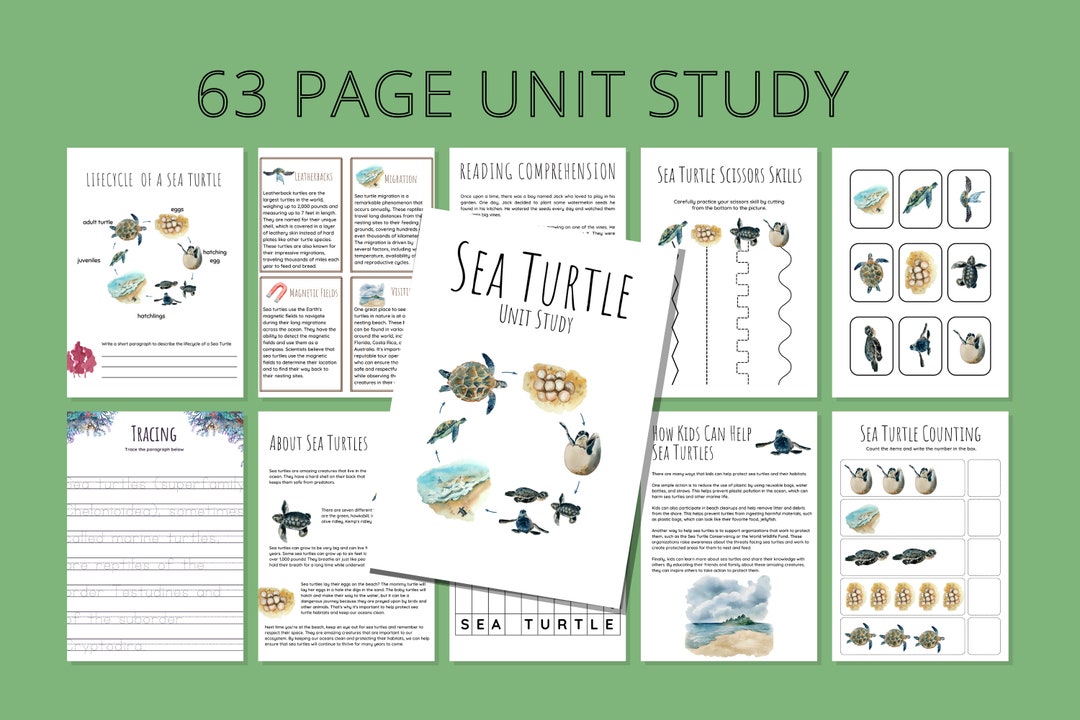 Sea Turtle Unit Study Homeschool Printable Nature Life Cycle Science ...