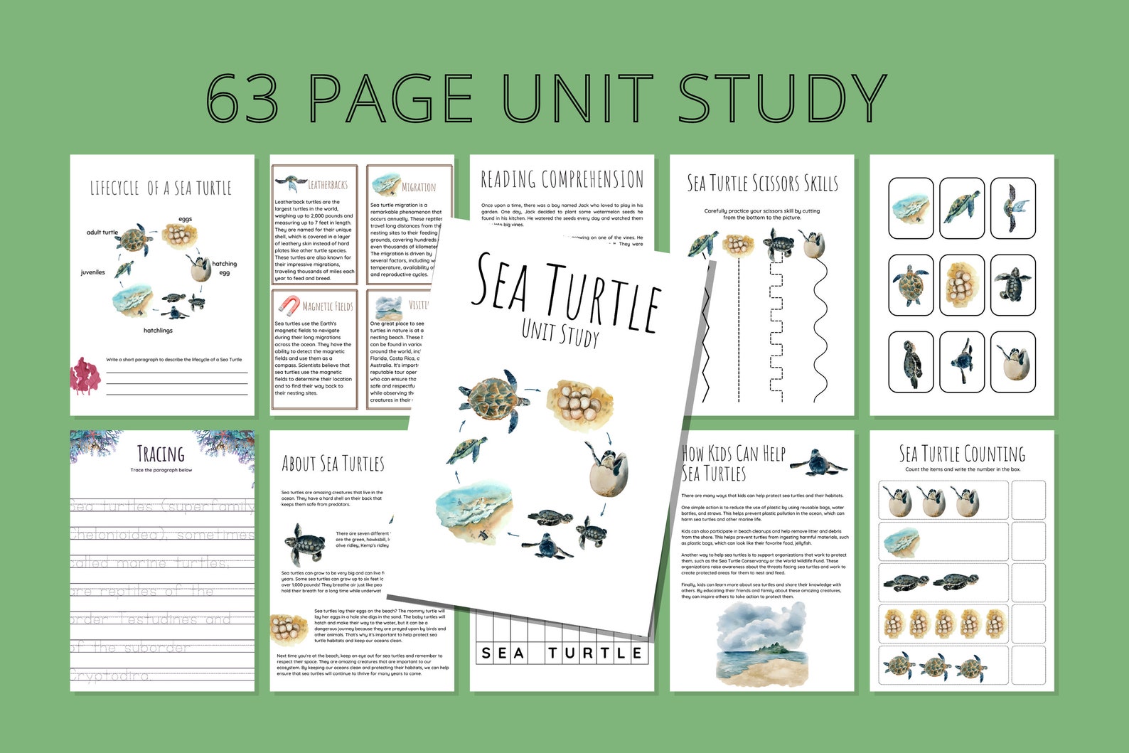 Sea Turtle Unit Study Homeschool Printable Nature Life Cycle Science ...