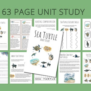 Sea Turtle Unit Study Homeschool Printable Nature Life Cycle Science ...