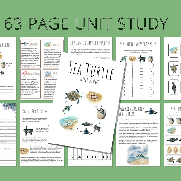 Sea Turtle Unit Study Homeschool Printable Nature Life Cycle Science ...