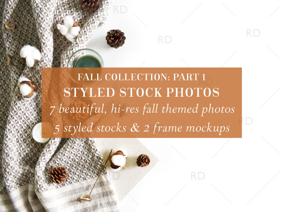 SALE! Styled Stock Photography for Websites and Social Media Fall ...