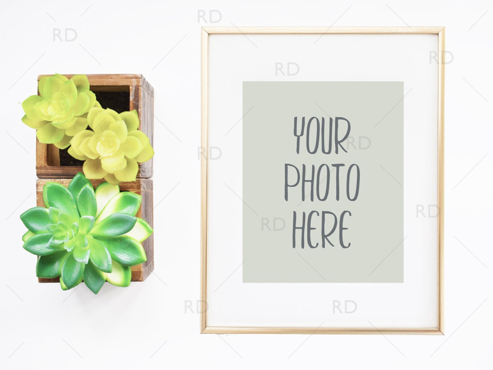 Succulent Stock Photos and Frame Mockup Pack / Styled Stock | Etsy