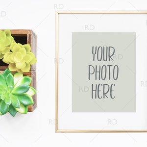 Succulent Stock Photos and Frame Mockup Pack / Styled Stock Photography ...