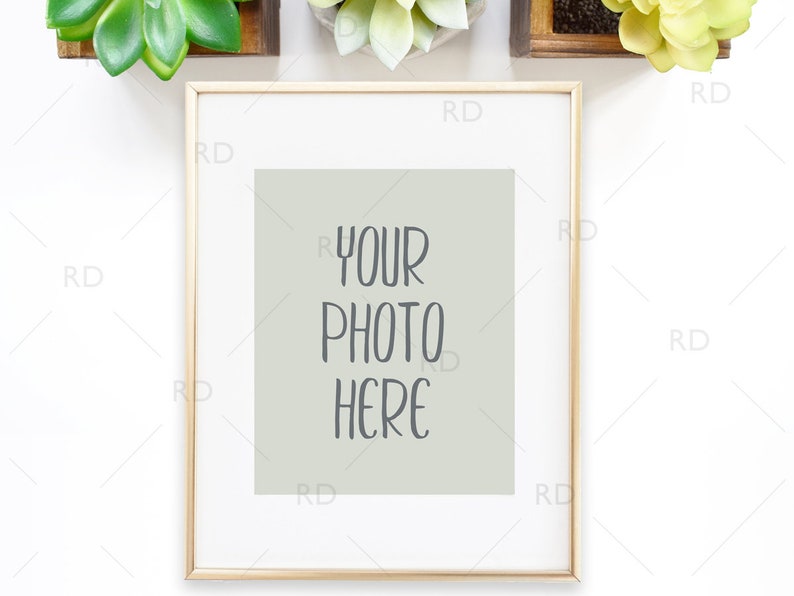 Succulent Stock Photos and Frame Mockup Pack / Styled Stock | Etsy