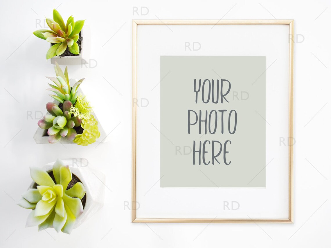 Succulent Stock Photos and Frame Mockup Pack / Styled Stock | Etsy
