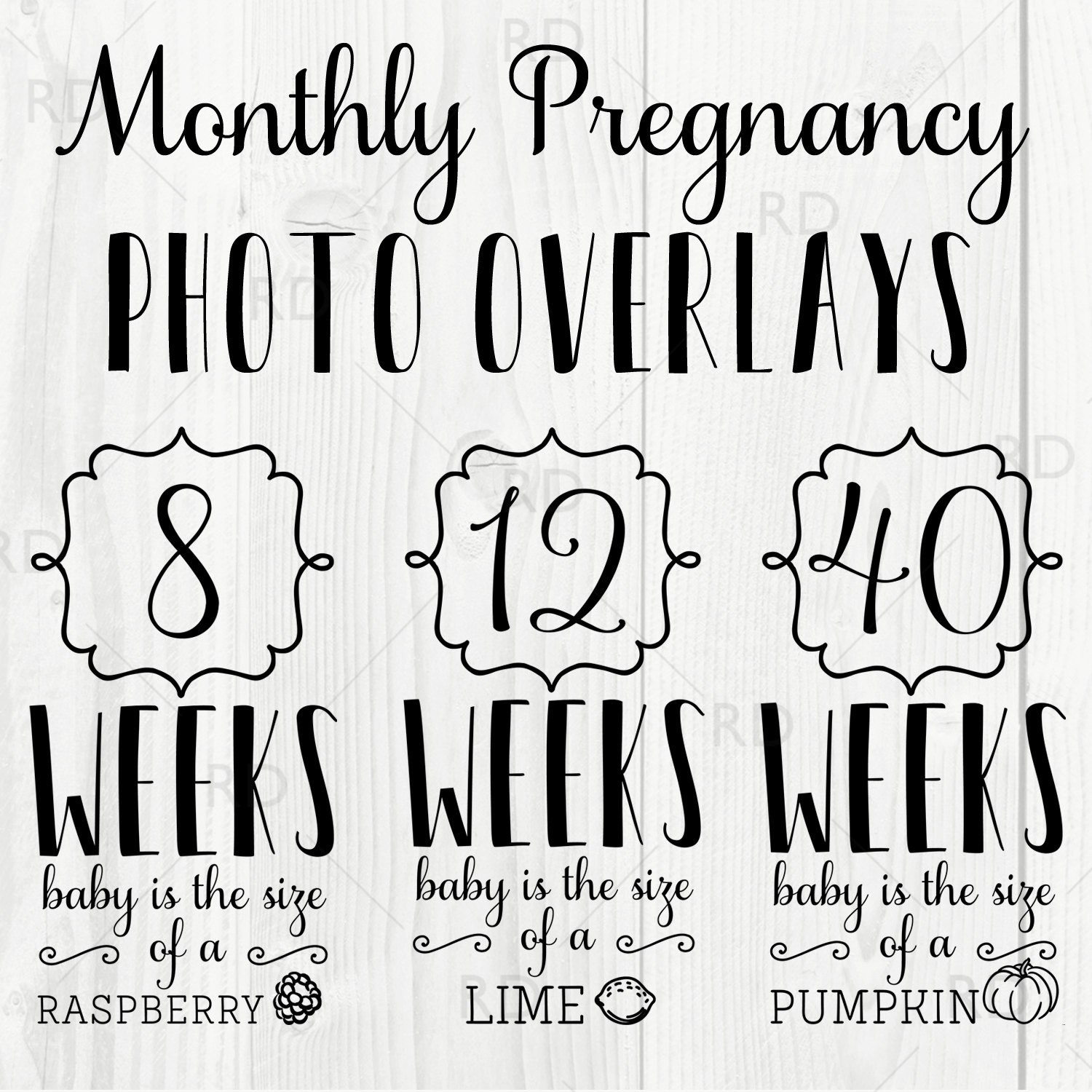 48 Weeks Pregnant
