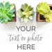 Succulent Stock Photos and Frame Mockup Pack / Styled Stock Photography ...
