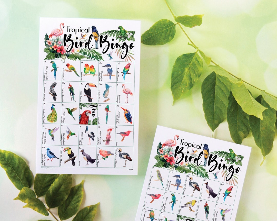 Tropical Bird Bingo - 50 PRINTABLE Unique Cards. Senior Citizen ...