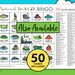 License Plate Game Printable US and Canada, Road Trip Games, Geography ...