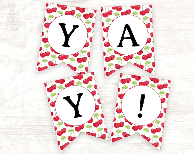 Cherry Rag Tie Garland Vintage Look Gingham Banner County Fair Farmers ...