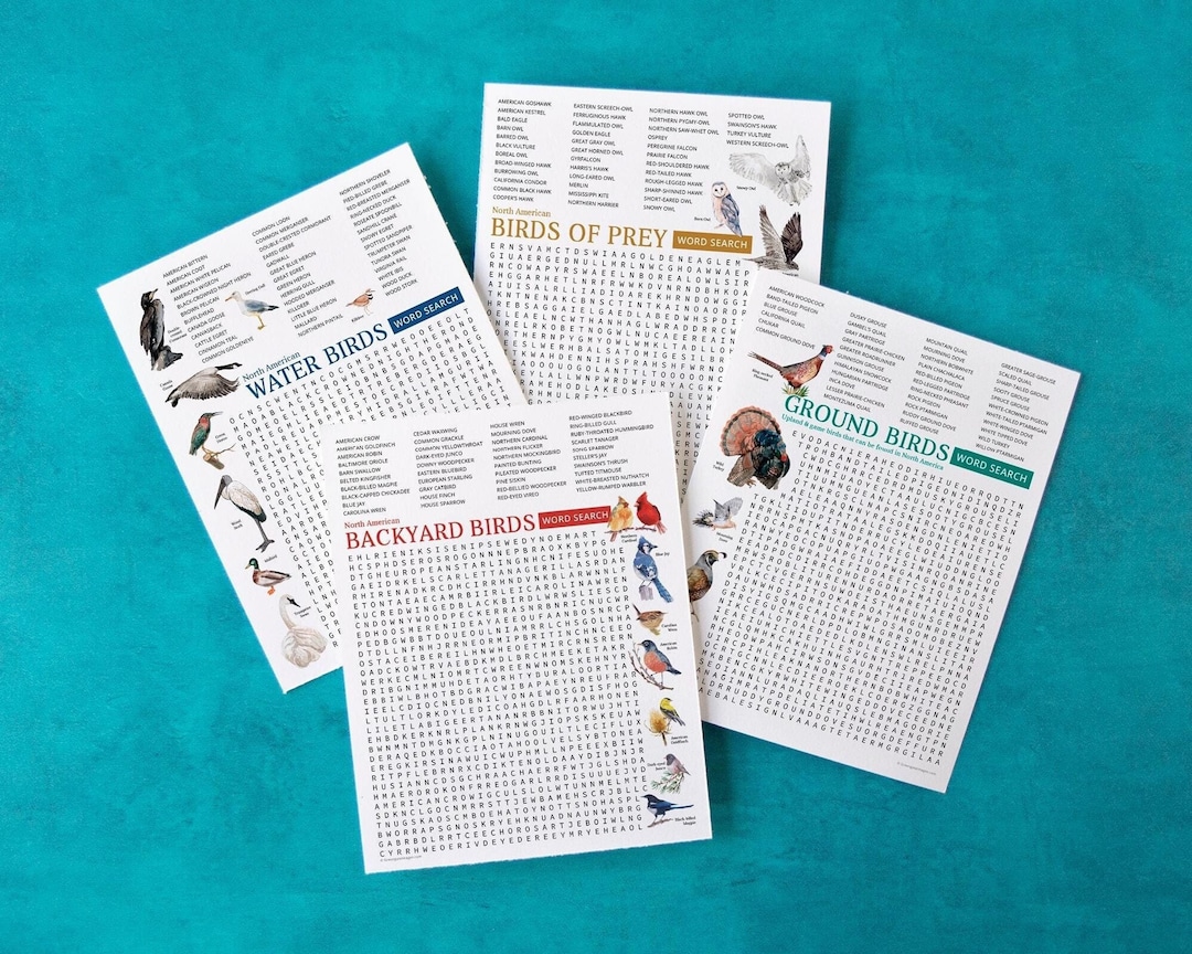 Bird Word Search Bundle - PRINTABLE Word Find Pages. Instant Download ...