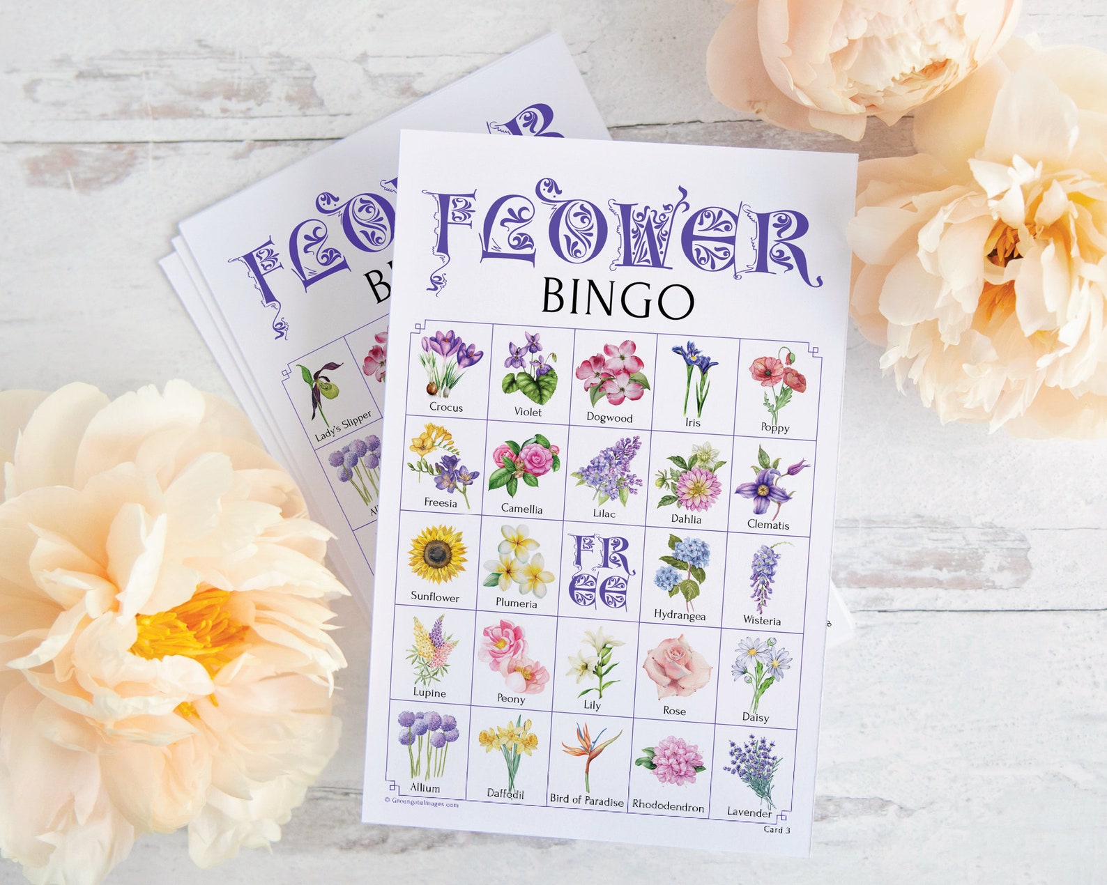 Flower Bingo Cards: Printable Bingo, 50 Cards, Senior Citizen ...