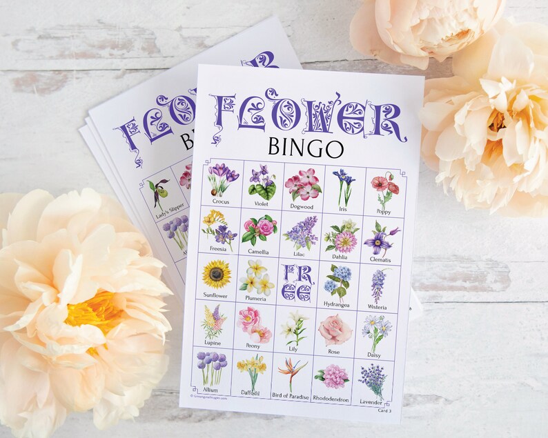 Flower Bingo Cards: Printable Bingo, 50 Cards, Senior Citizen ...