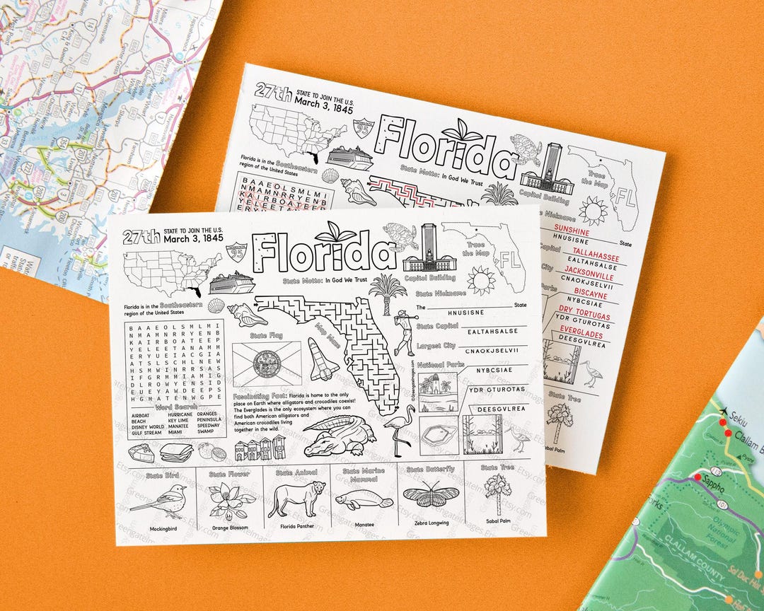 PRINTABLE Florida Activity Page - Instant Download PDF Kids Games. FL ...