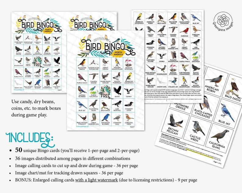 Bird Bingo Cards: Printable Bingo, 50 Cards, Senior Citizen Activities ...