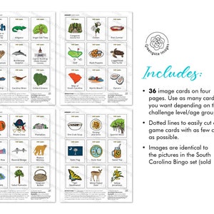 South Carolina Memory Game - PRINTABLE Downloadable Activity PDF ...