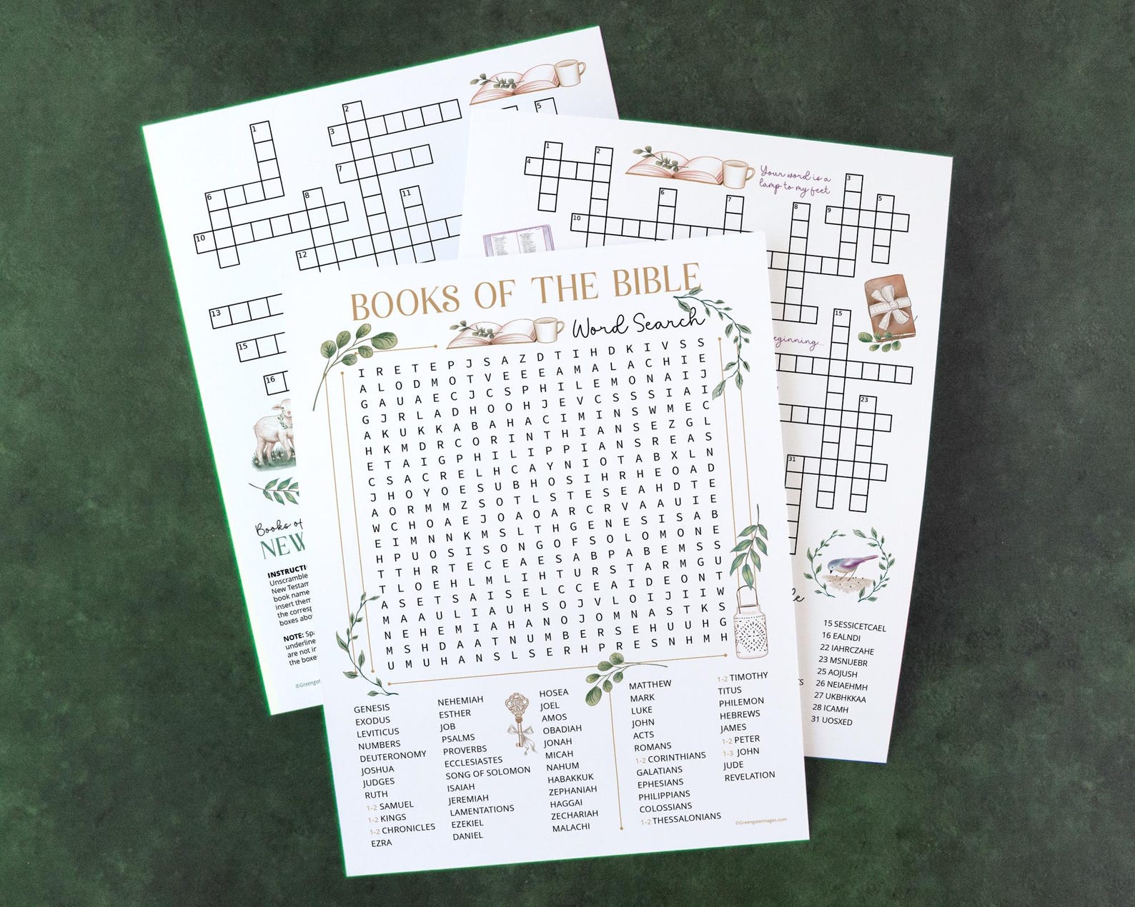 Books of the Bible Activities - PRINTABLE Instant Download Pdfs. Word ...