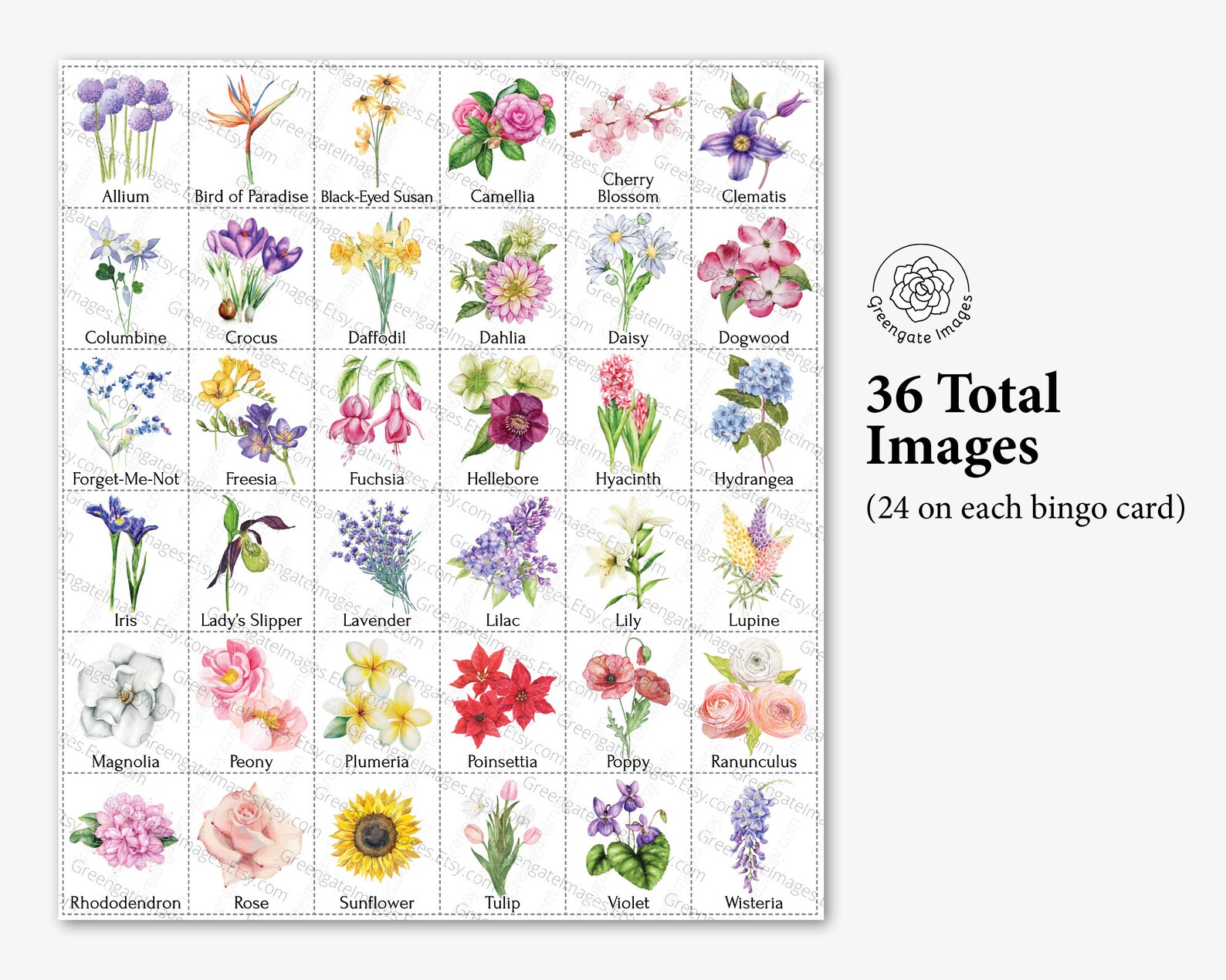 Flower Bingo Cards: Printable Bingo 50 Cards Senior Citizen - Etsy