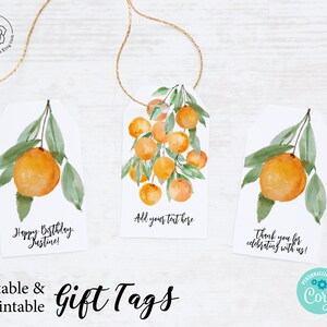 Orange Gift Tags Watercolor Oranges Leaves Corjl Editable | Etsy