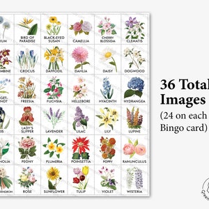 Flower Bingo Cards: Printable Bingo 50 Cards Senior Citizen | Etsy