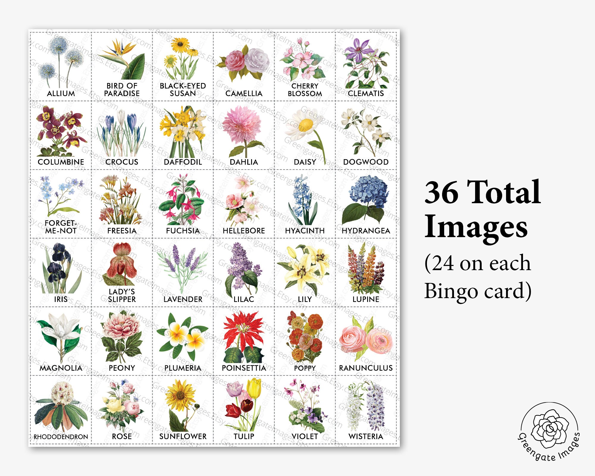 Flower Bingo Cards: Printable Bingo 50 Cards Senior Citizen - Etsy Canada
