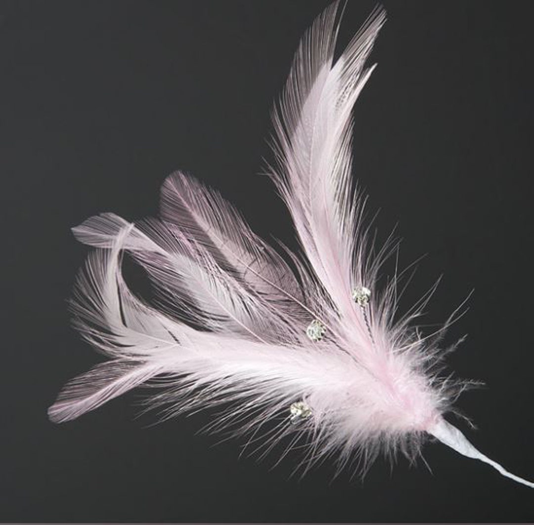 Pack of 6 Baby PINK Real FEATHERS With DIAMANTES Great for - Etsy