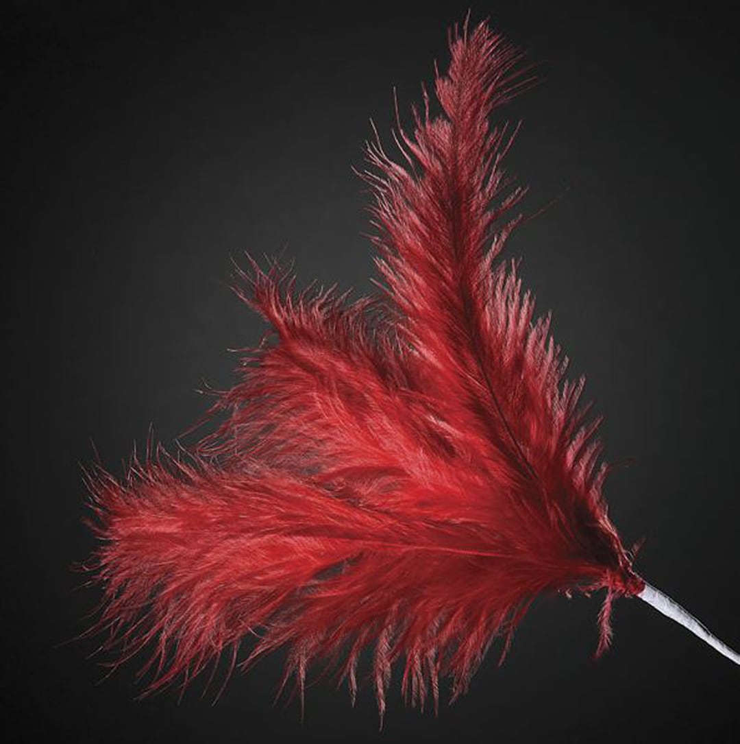Red Feather Spray, Craft Supply, Hat Making, Bouquet (18 Pack) - Etsy
