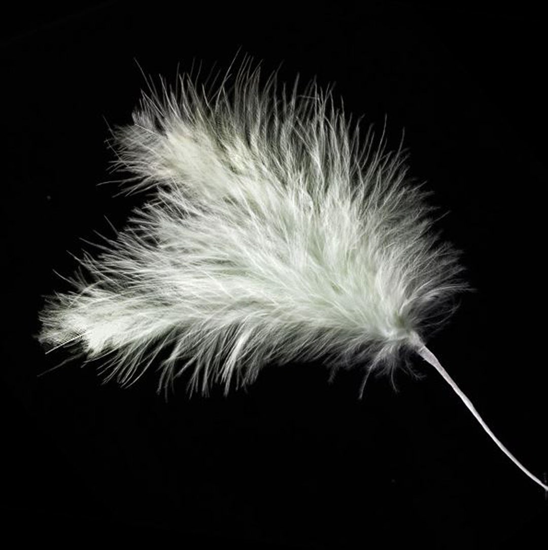 18 SAGE GREEN Real FEATHER Spray. Each Spray Has 3 Feathers Great for ...