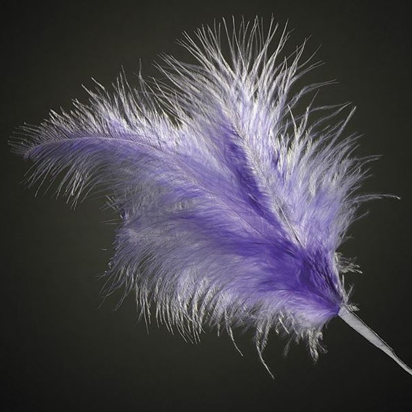 Feather Spray - Etsy