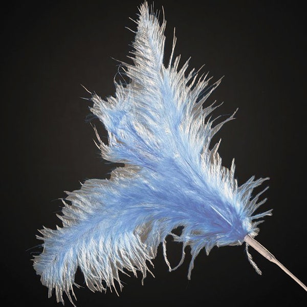 Feather Spray - Etsy