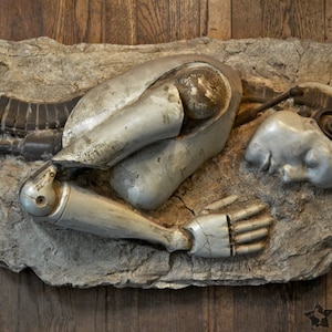 Creatures of the Mechazoic Era: Fossilized Humanoid Female Robot ...