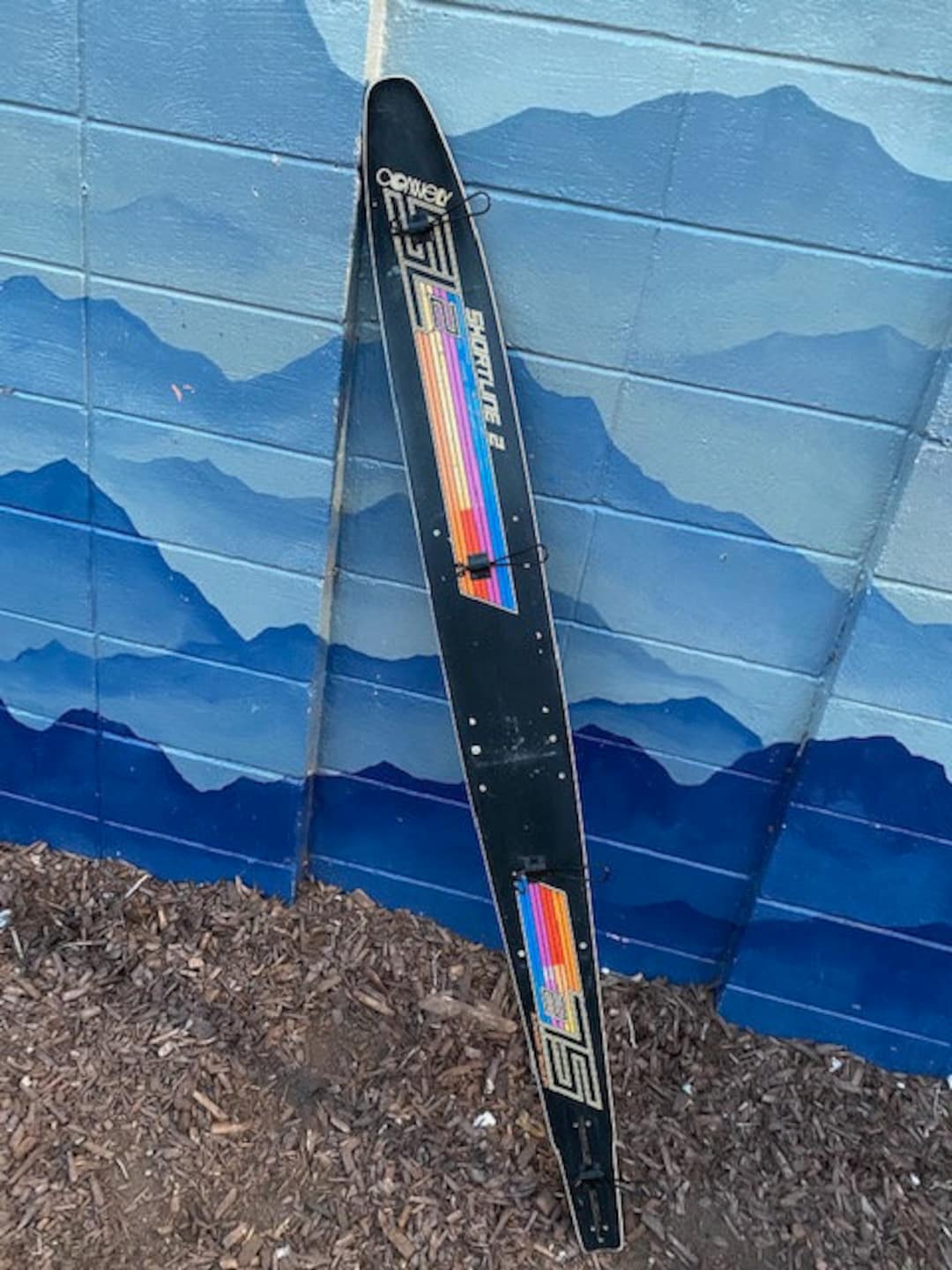 Premium Wooden Water Ski Coat Hangers, Coat Rack ,real Skis, Repurposed ...