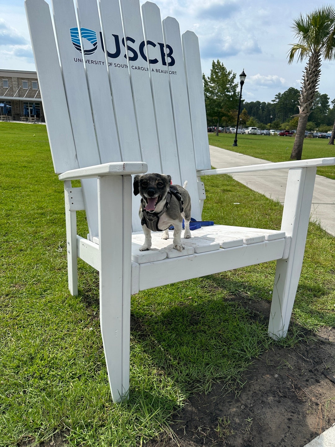 84" Wide Back Giant Wooden Adirondack Chair, Custom Stained Finish, XXL ...
