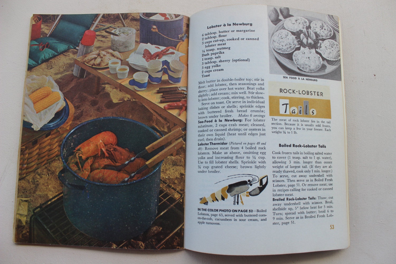 Good Housekeeping's Fish and Shellfish Book, Fine Foods From Ocean ...