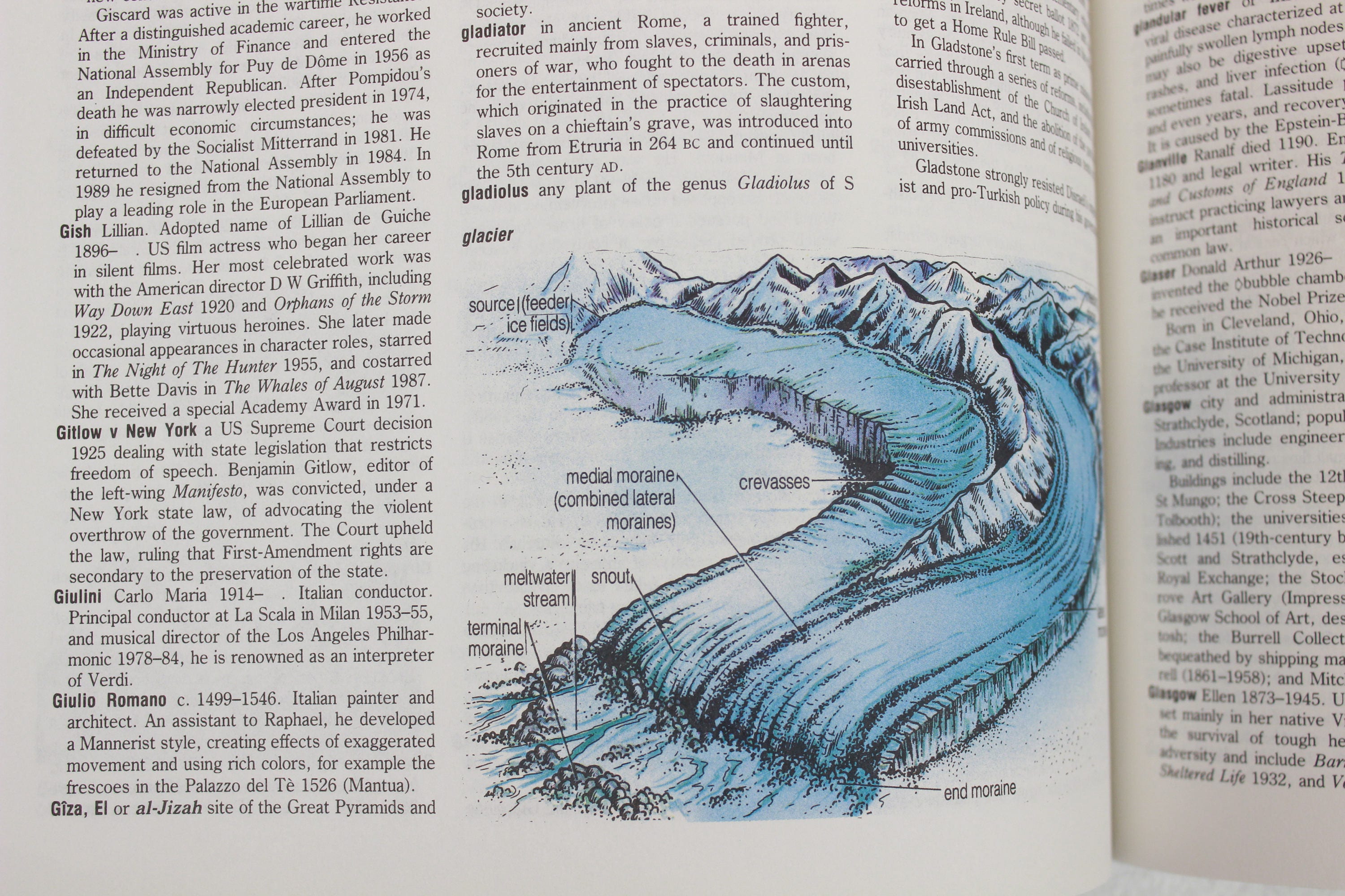 Webster's New World Encyclopedia, the New Standard in Single-volume ...